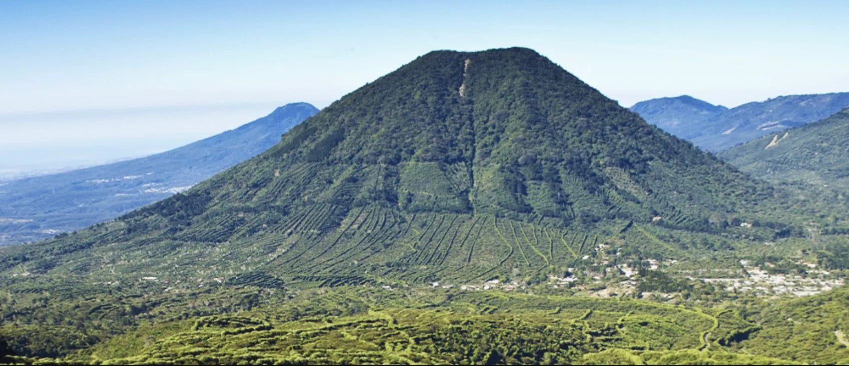 🔥☕ atmans coffee ☕🔥 Specialty Coffee Roasters – atmans | Coffee Curators