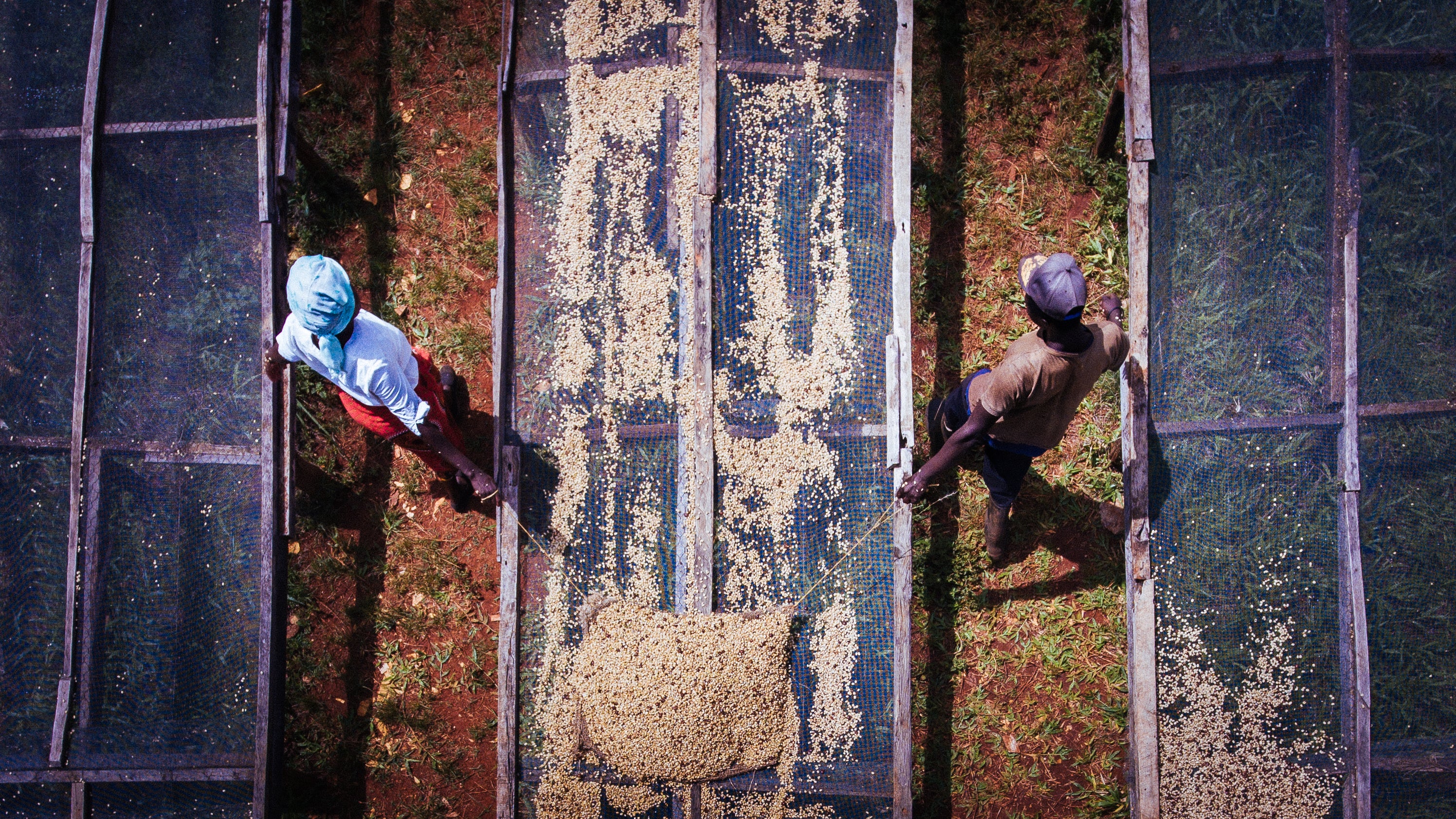 🔥☕ atmans coffee ☕🔥 Specialty Coffee Roasters – atmans | Coffee Curators