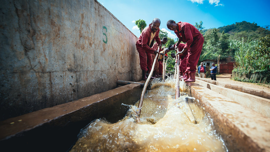 Purple Soul, Filter Blend – atmans | The Soul of Specialty