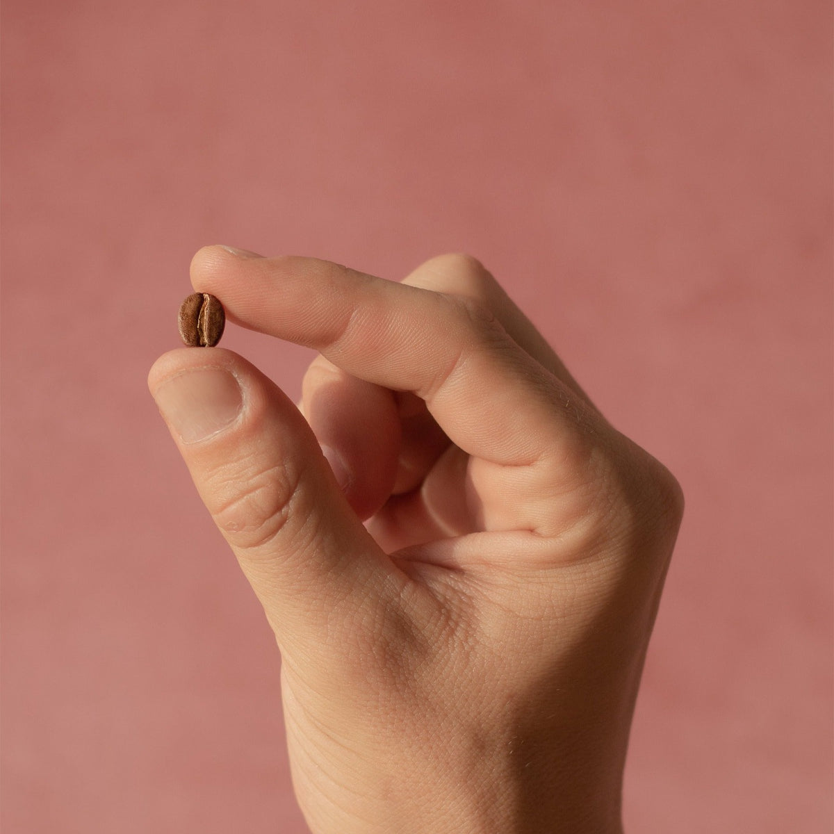 Introduction to the World of Coffee Training – atmans | The Soul of ...